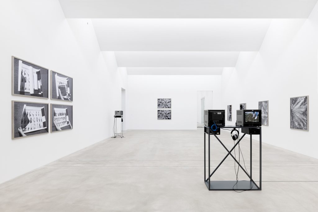 Charlie Prodger – Hollybush Gardens