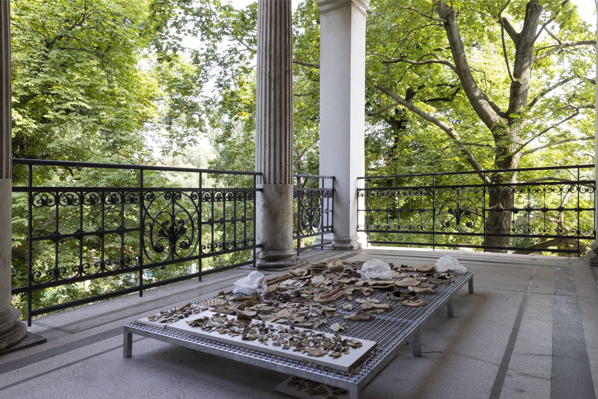 Jumana Manna – Hollybush Gardens